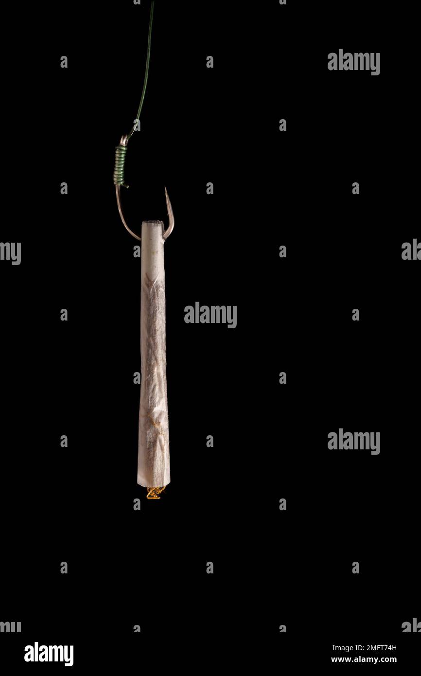 Marijuana cigarette hanging from a hook drug addiction concept close-up ...