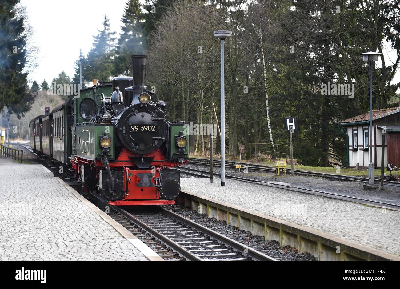 Steam locomotive, Mallet locomotive, of the Harz narrow gauge railway ...