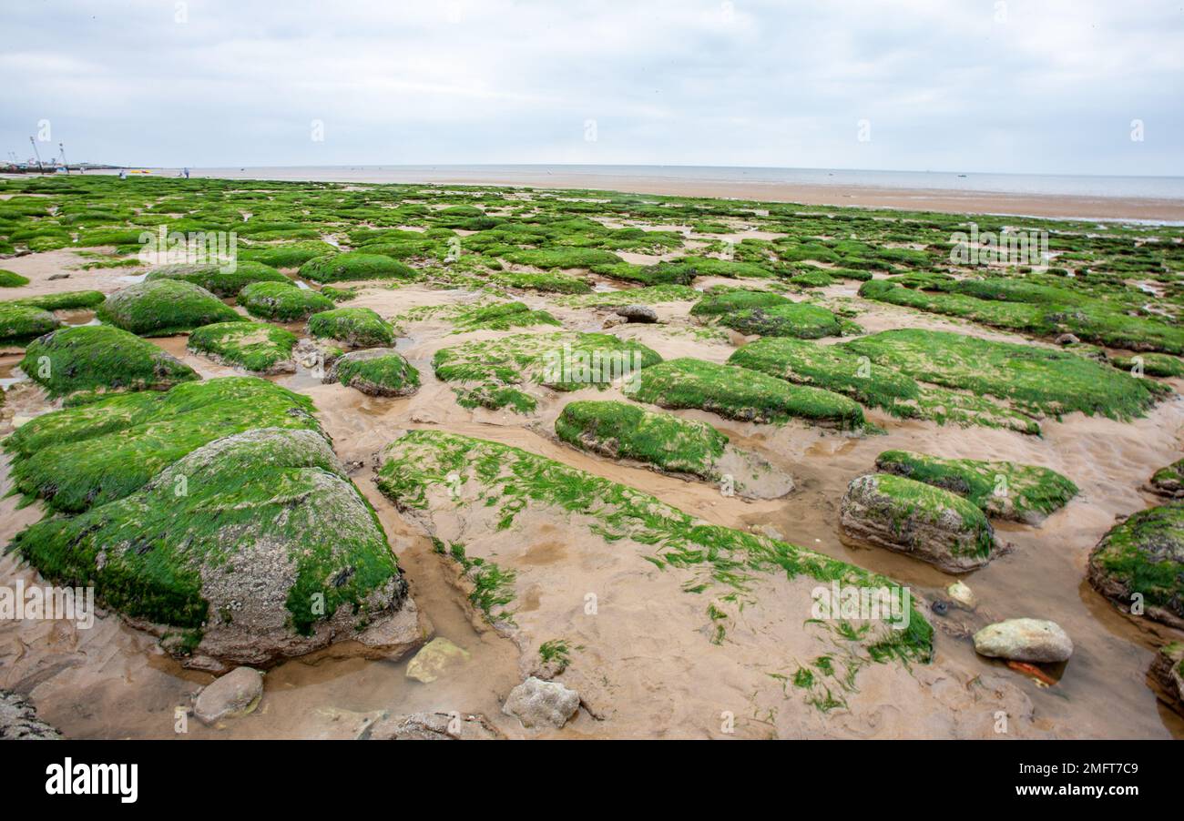 Low Tide, East Anglia coast, England, UK. A view of the sandy beach out ...
