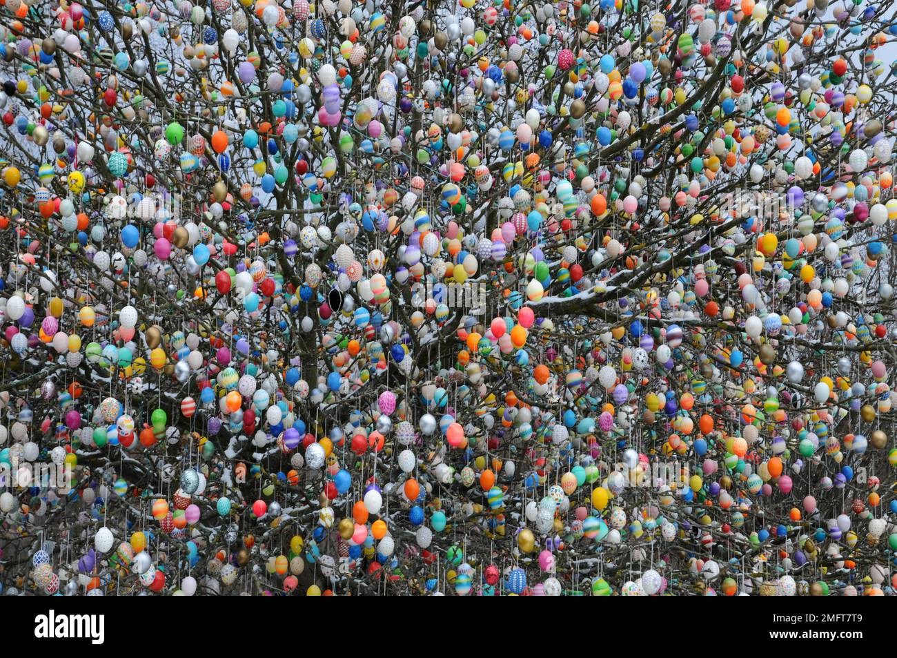Easter egg tree, Germany Stock Photo - Alamy
