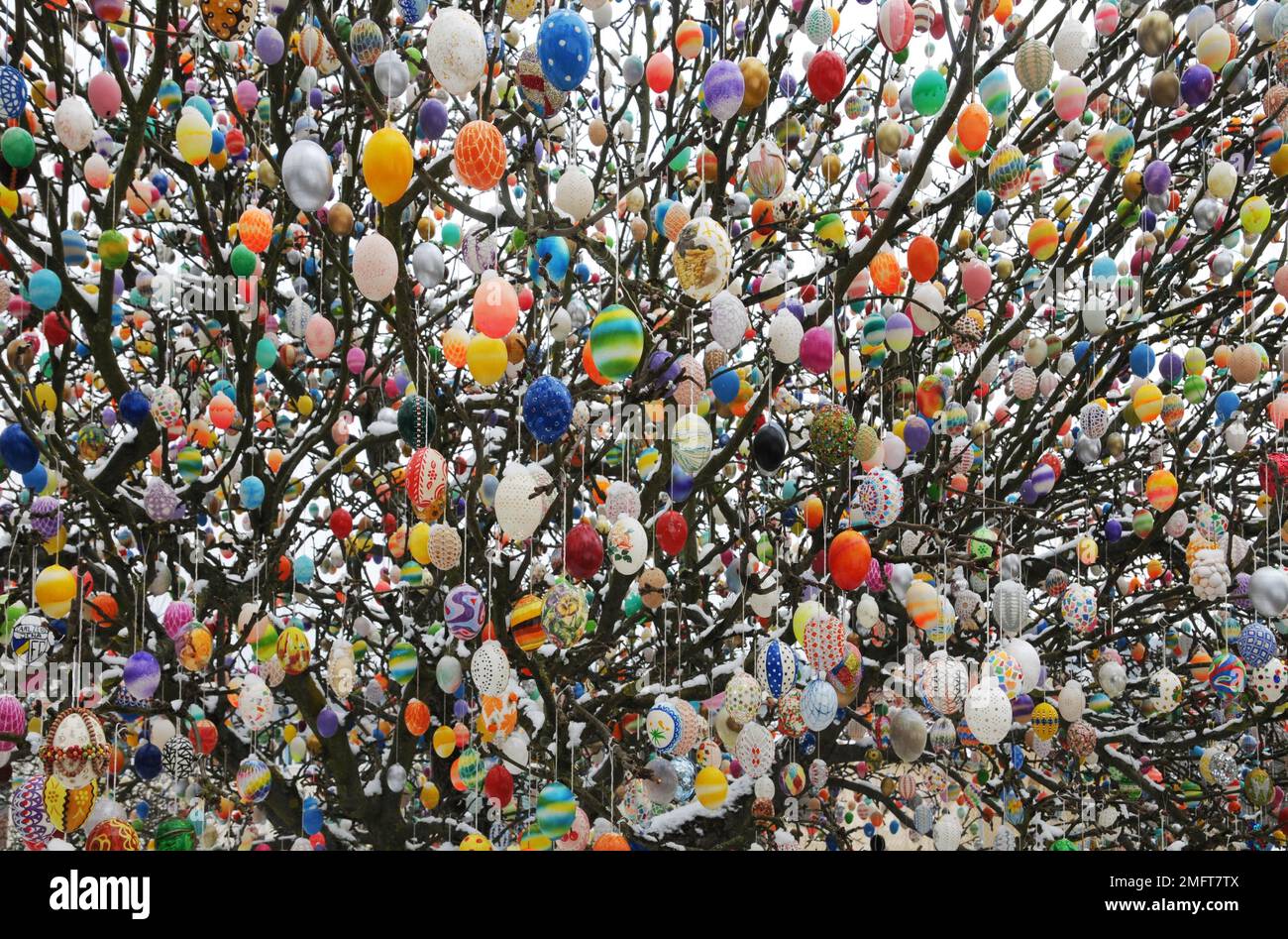Easter egg tree, Germany Stock Photo - Alamy