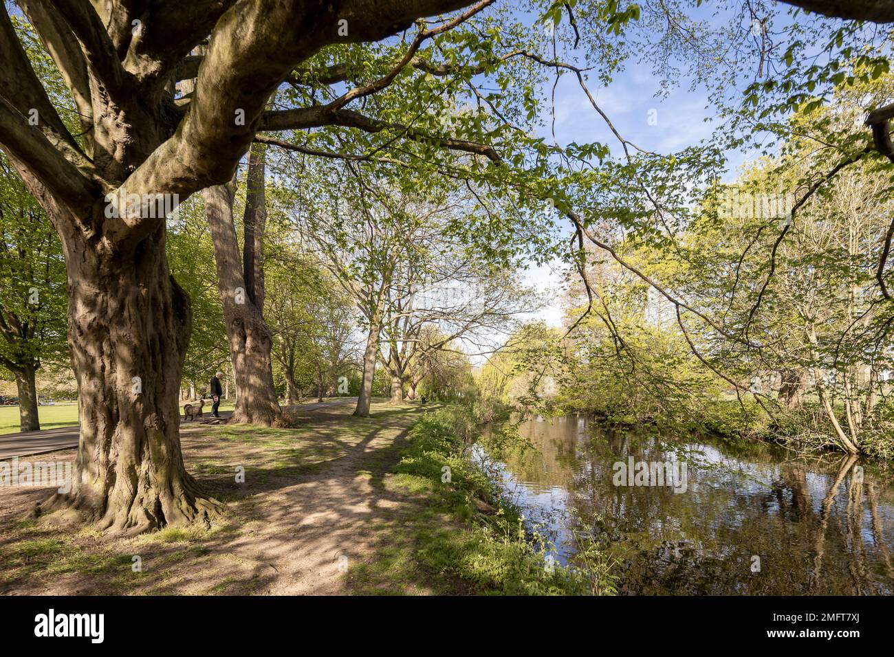 Colchester, Essex, England, UK, Local Area Photography Stock Photo - Alamy
