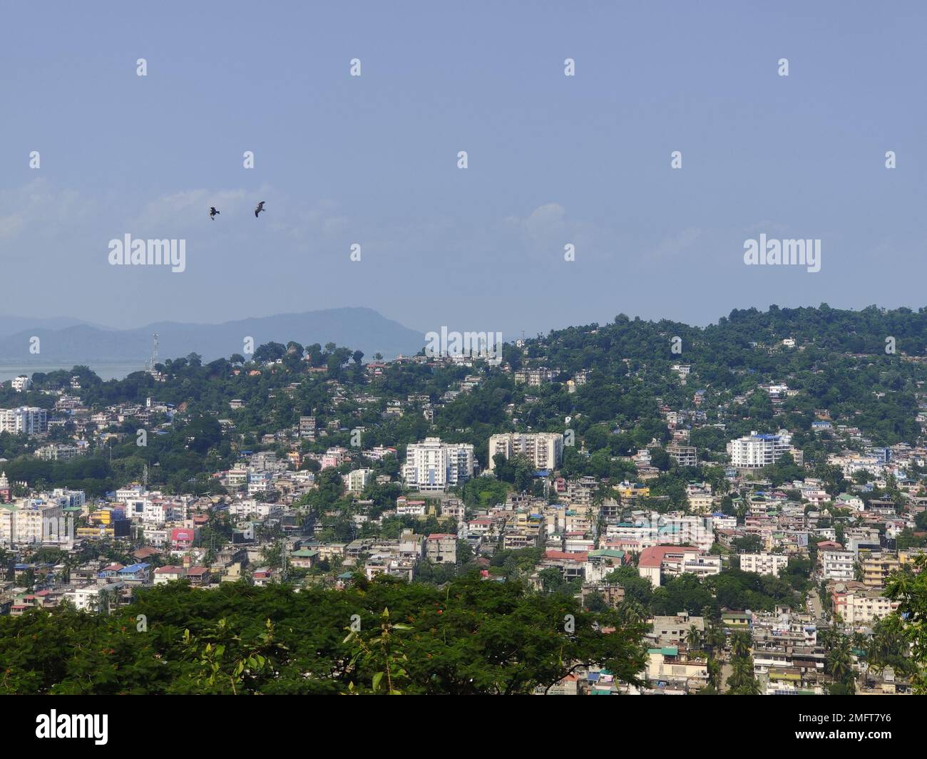 A bird's eye view of the Dhubri townscape surrounded by green ...