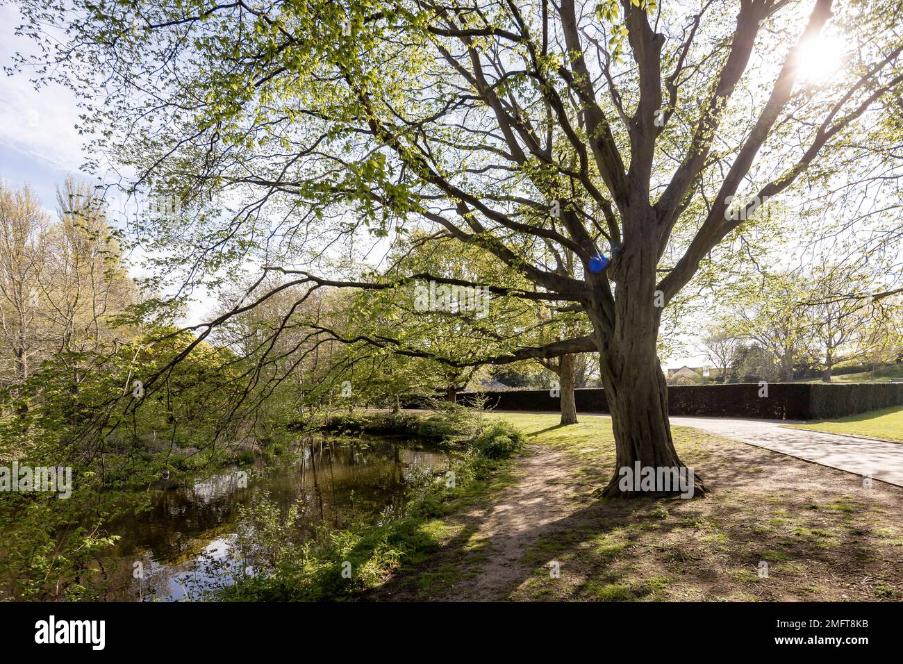 Colchester, Essex, England, UK, Local Area Photography Stock Photo - Alamy