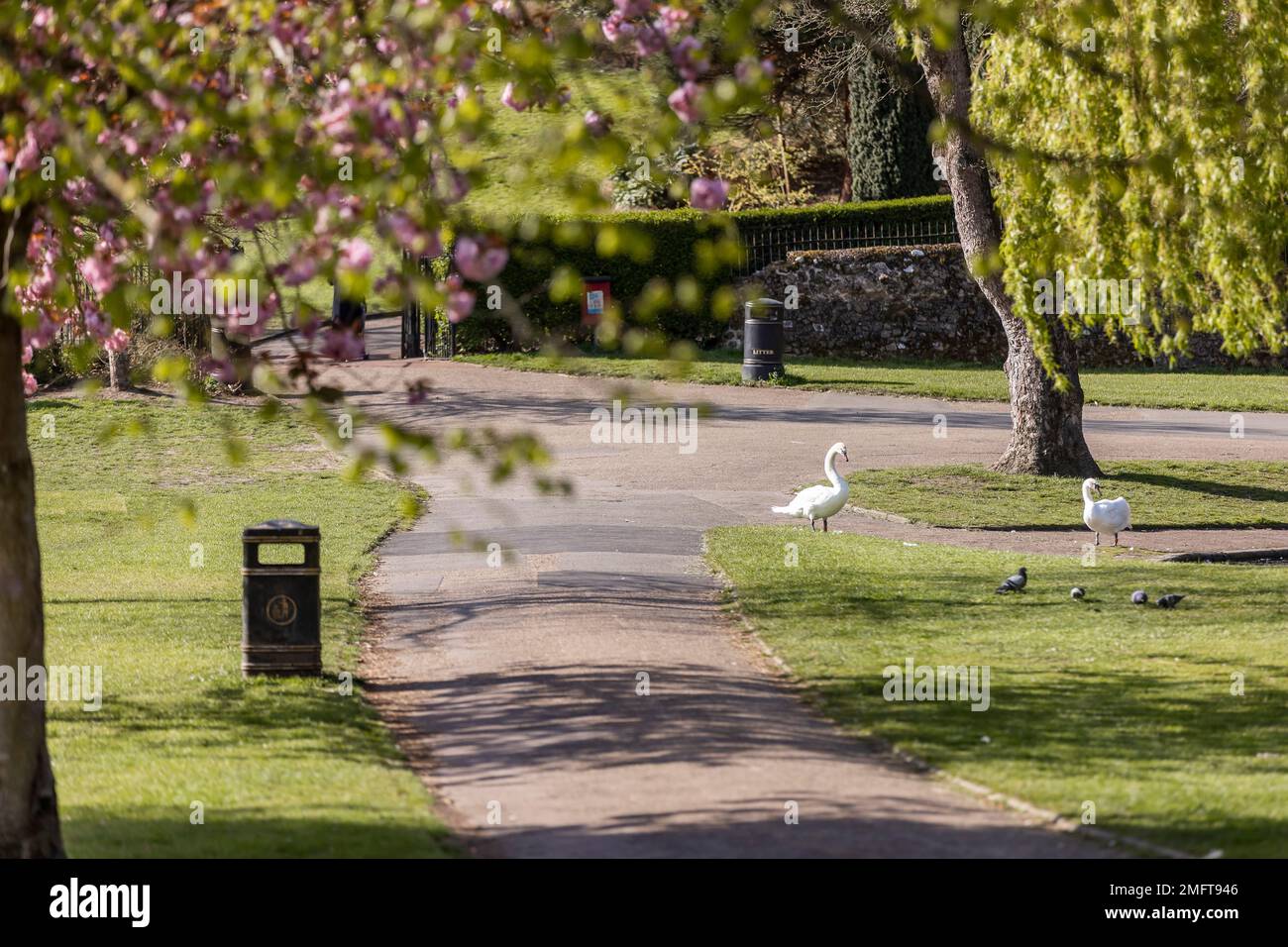 Colchester, Essex, England, UK, Local Area Photography Stock Photo - Alamy