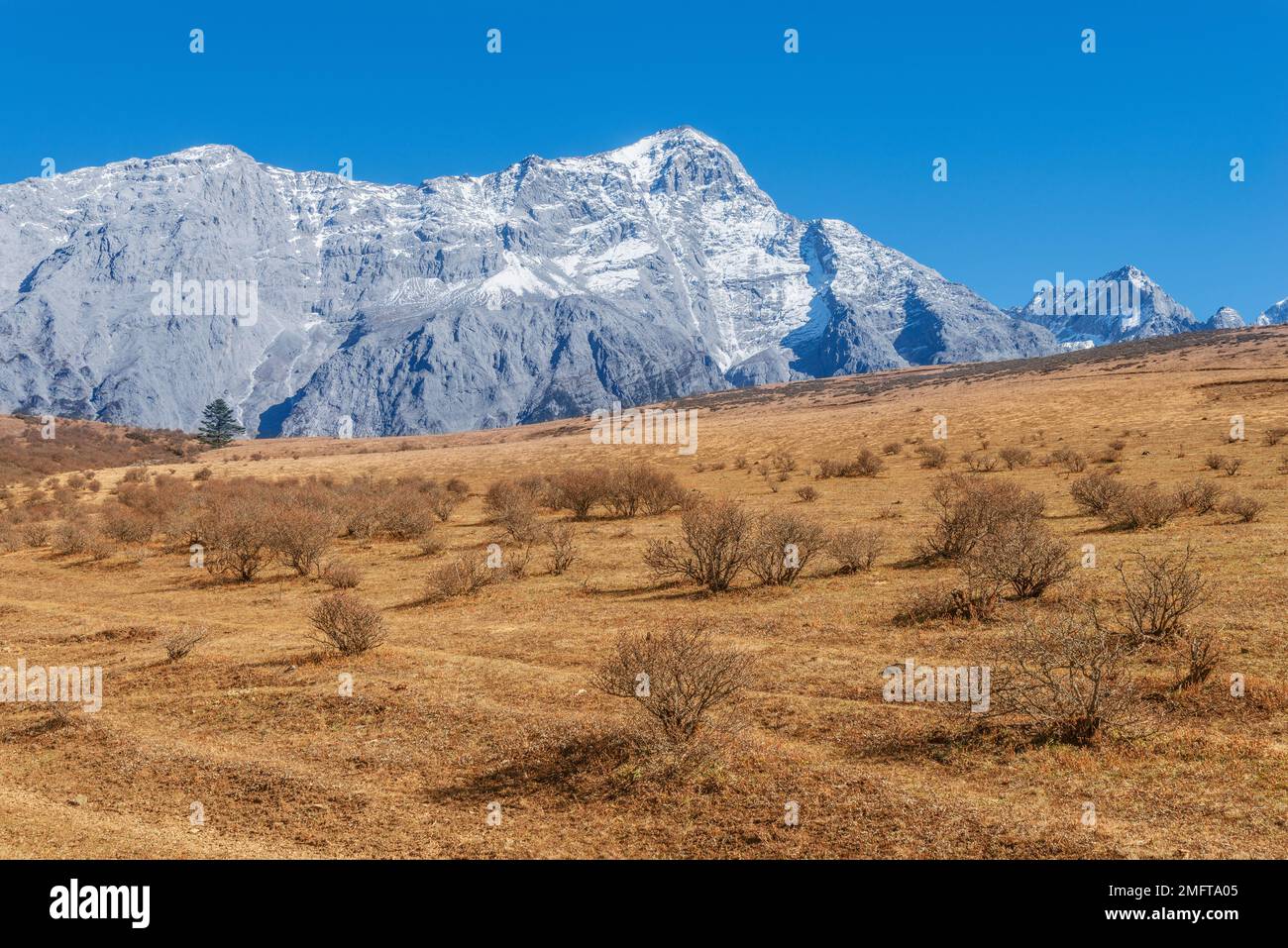 Mountain valley at autumn. Tibet. China Stock Photo - Alamy