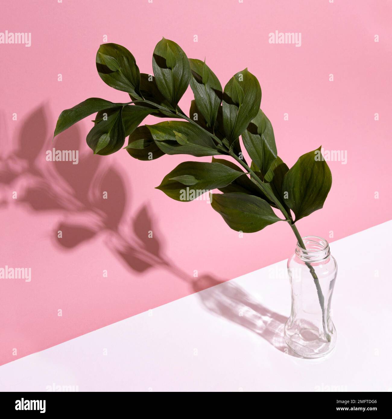 leaf branch vase table 3 Stock Photo - Alamy leaf branch vase table 3 Stock Photo - Alamy