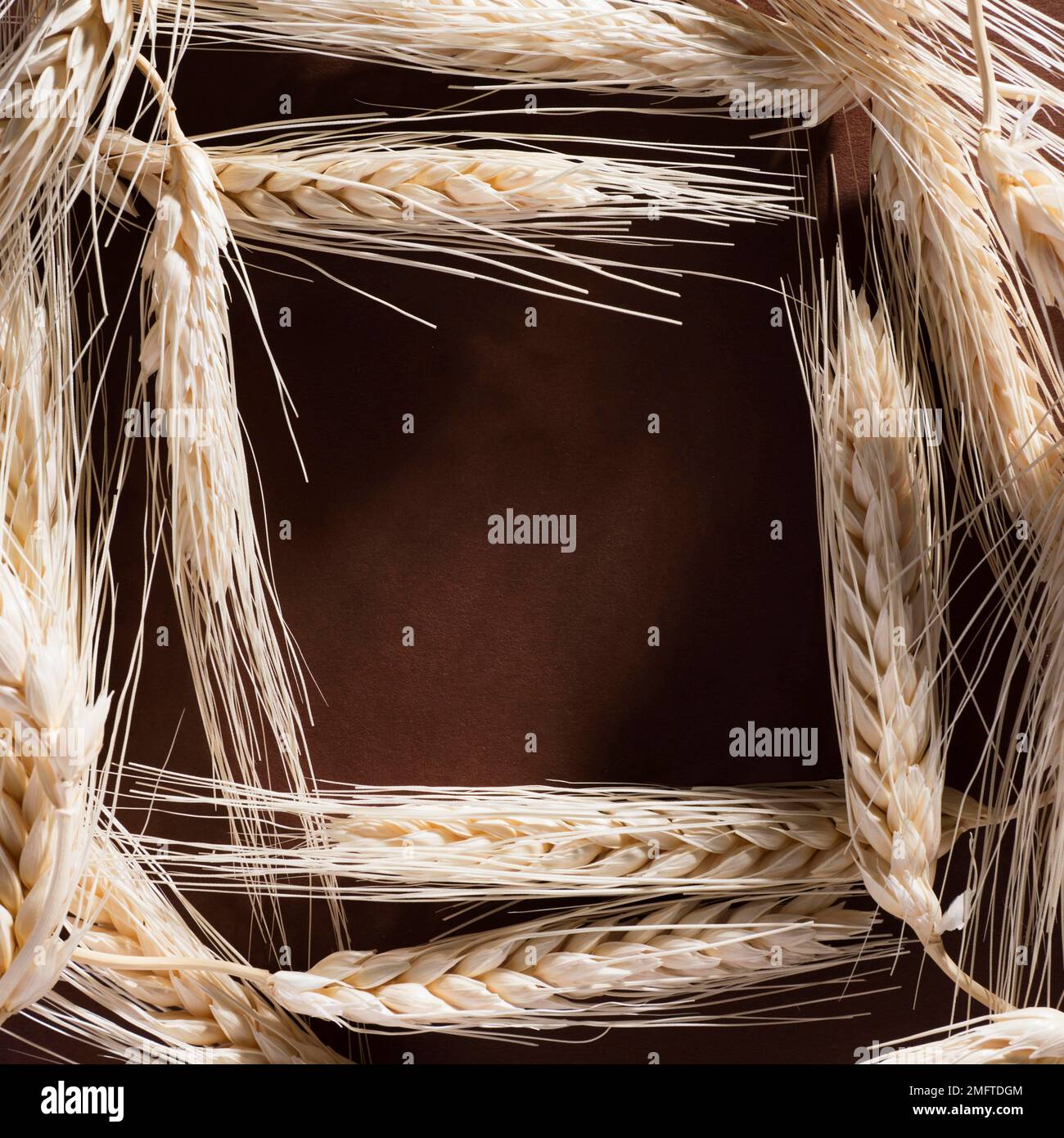 Wheat fibre hi-res stock photography and images - Alamy