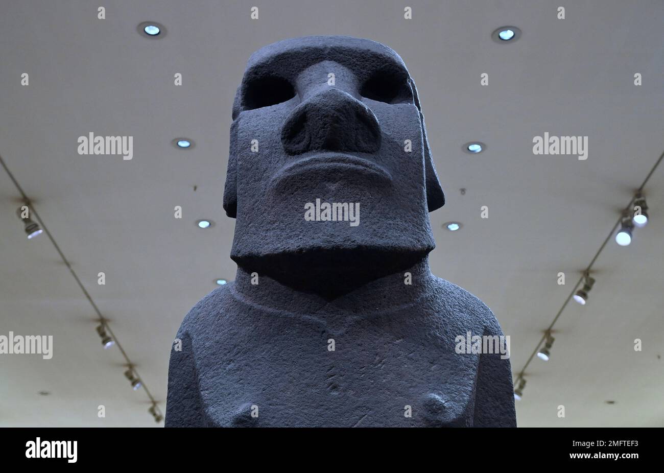 Rapa nui museum hi-res stock photography and images - Alamy