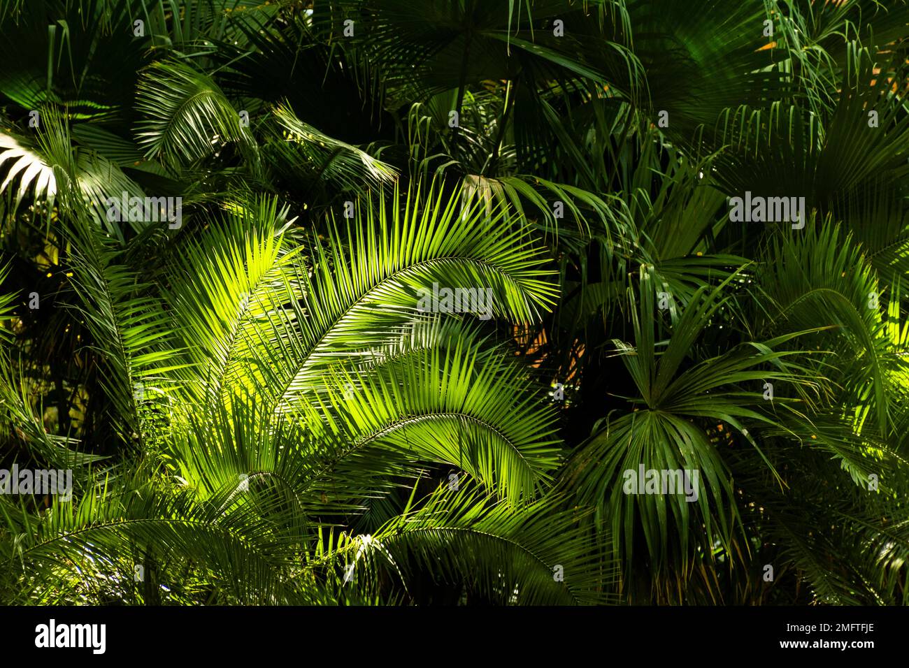 Aerial view beautiful greenery colorful hi-res stock photography and ...