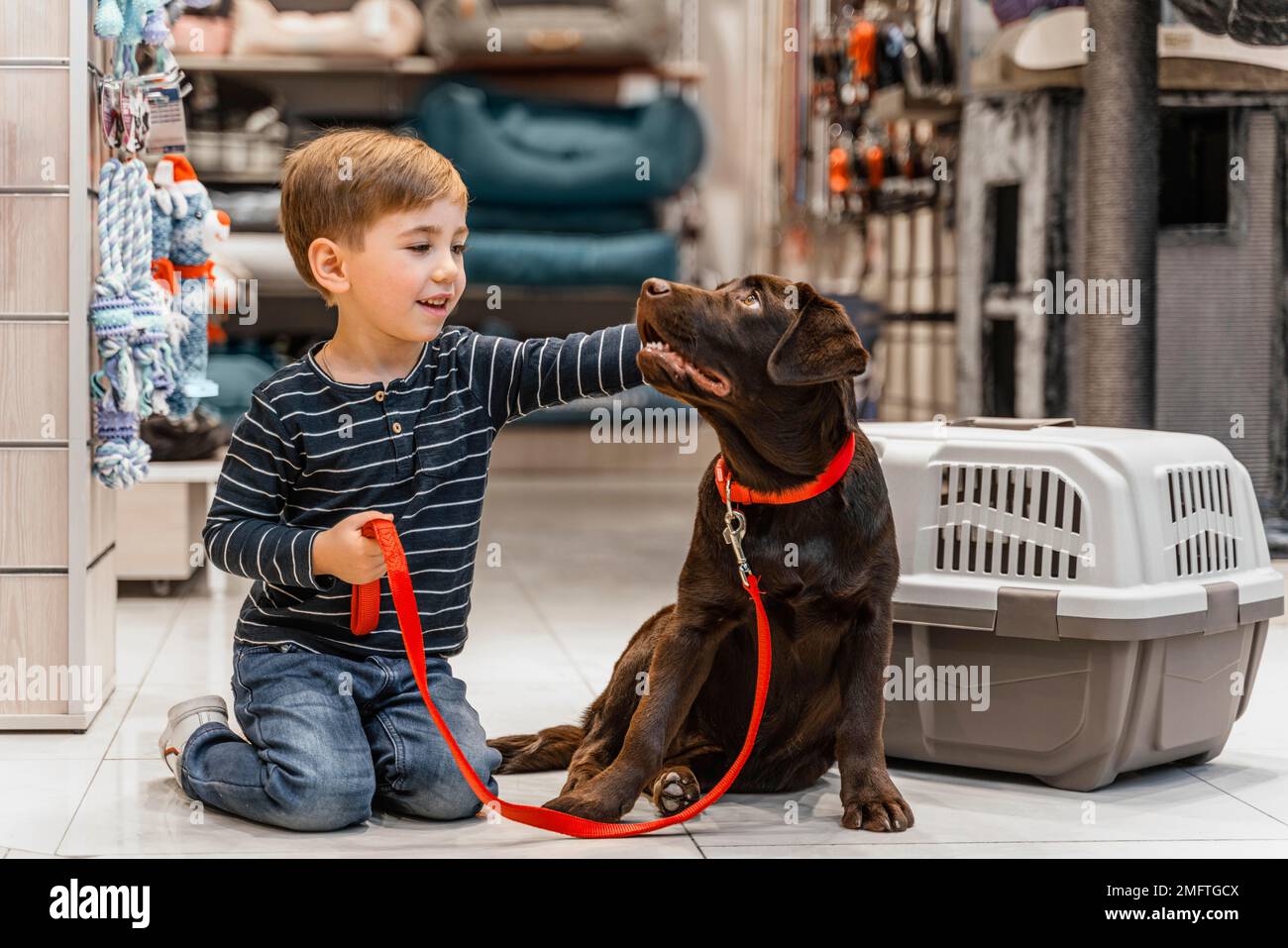 Beautiful shot little brown hi-res stock photography and images - Alamy