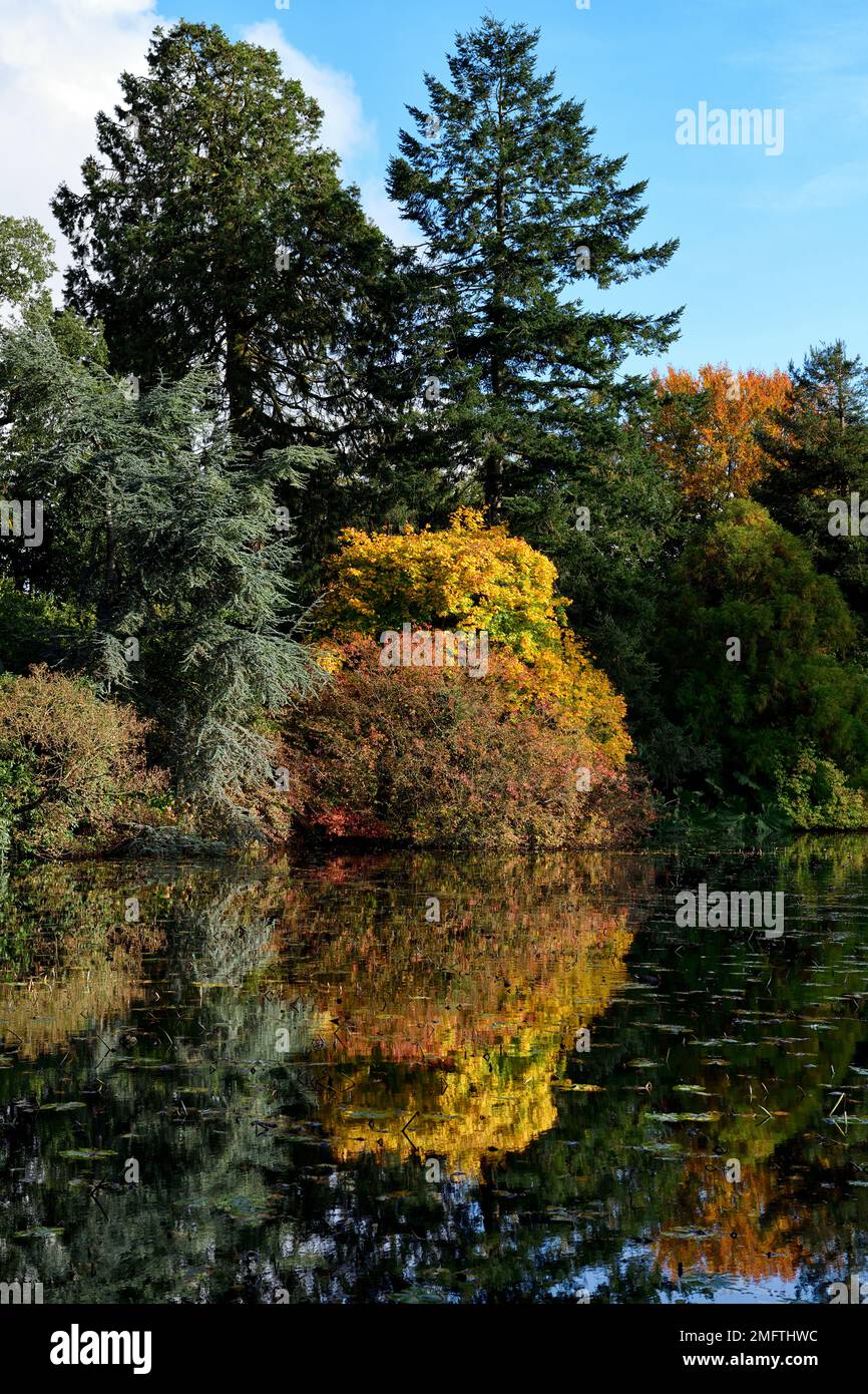 lake in altamont gardens,carlow,pond,lake,reflect,reflection,still,calm,tree,trees,arboretum ...