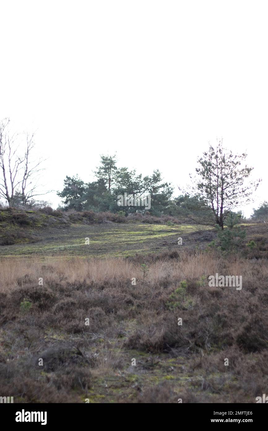 Hill countryside green grass field hi-res stock photography and images ...