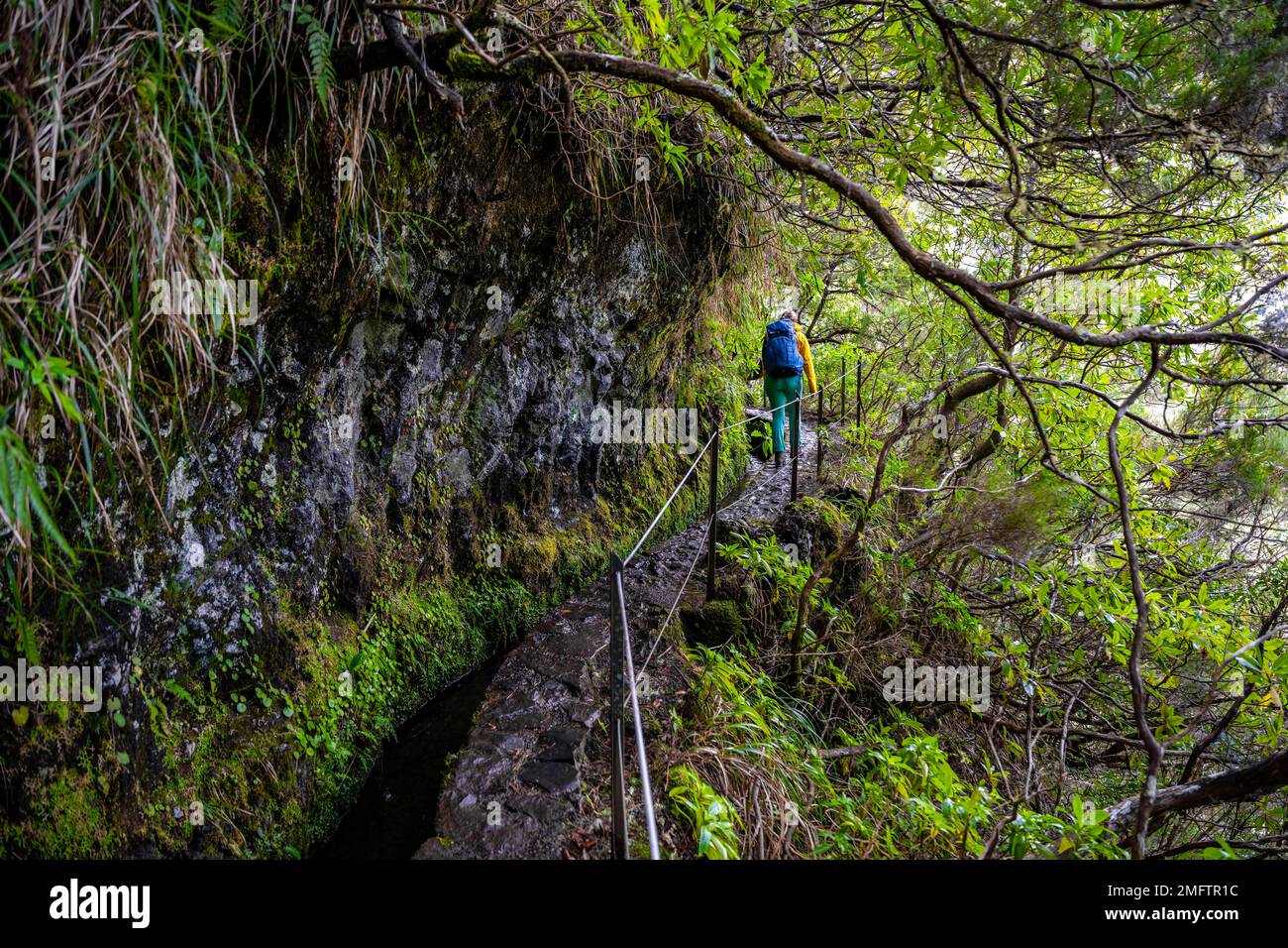 Hiker on a Levada, PR9 Levada do Caldeirao Verde, Madeira, Portugal ...