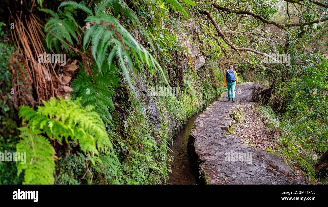 Hiker on a Levada, PR9 Levada do Caldeirao Verde, Madeira, Portugal ...