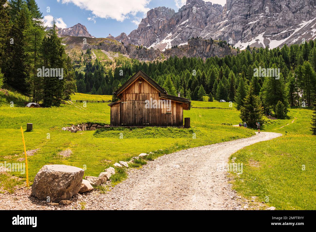 Alpine Landscape Inside Val San Nicolò Val Di Fassa During A Summer Season Dolomites Trento