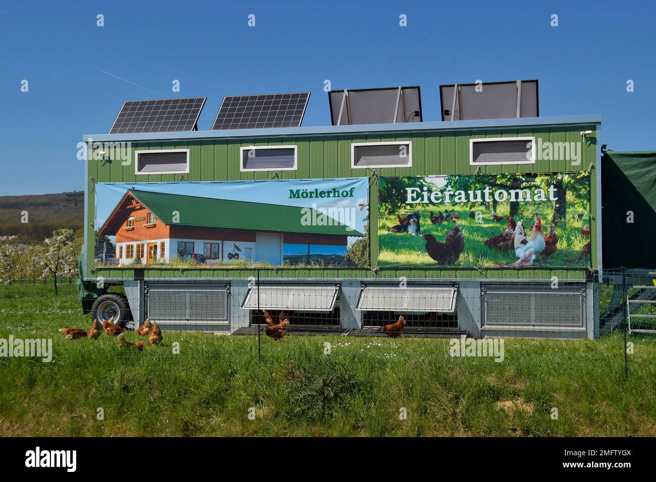 Poultry farming germany hi-res stock photography and images - Alamy