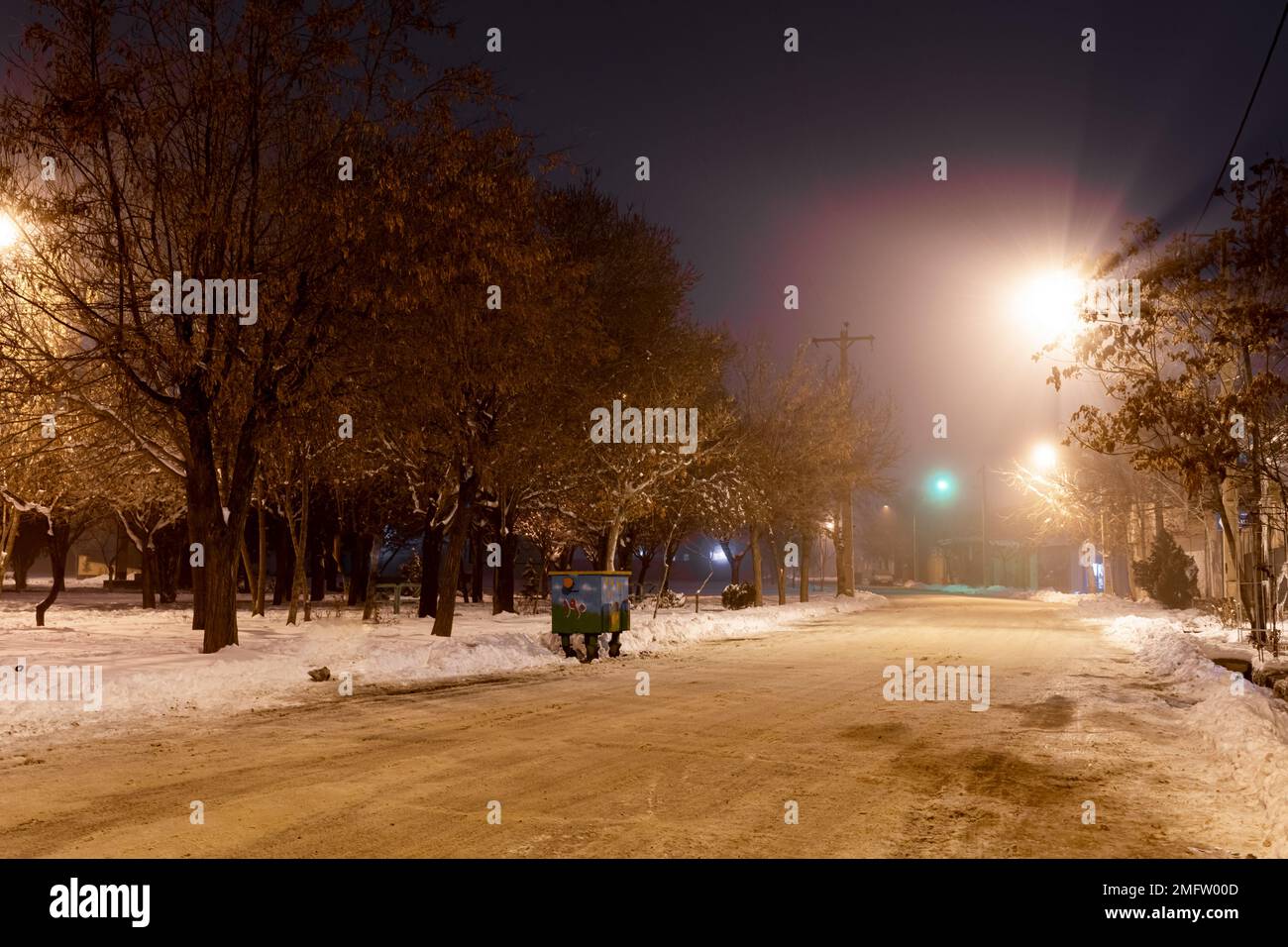 Ice and fog trees hi-res stock photography and images - Alamy