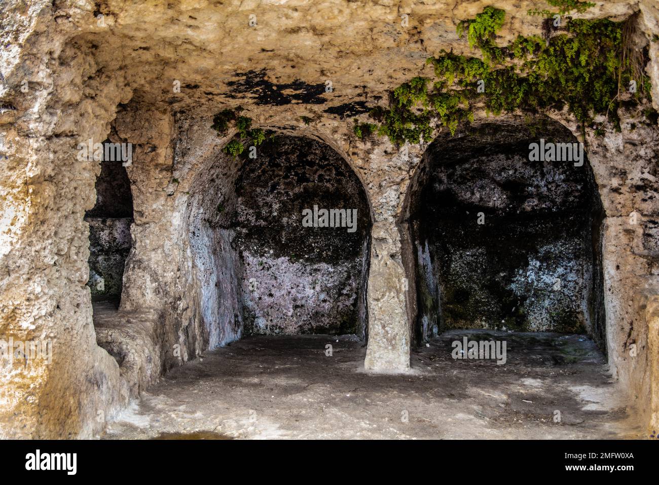 Terrace with images of important deceased carved into the rock ...