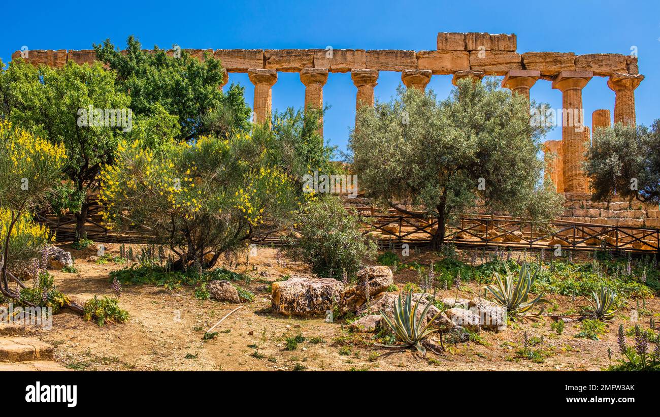 Temple of Juno (or Temple of Hera) as Doric peripteros, Valley of the ...
