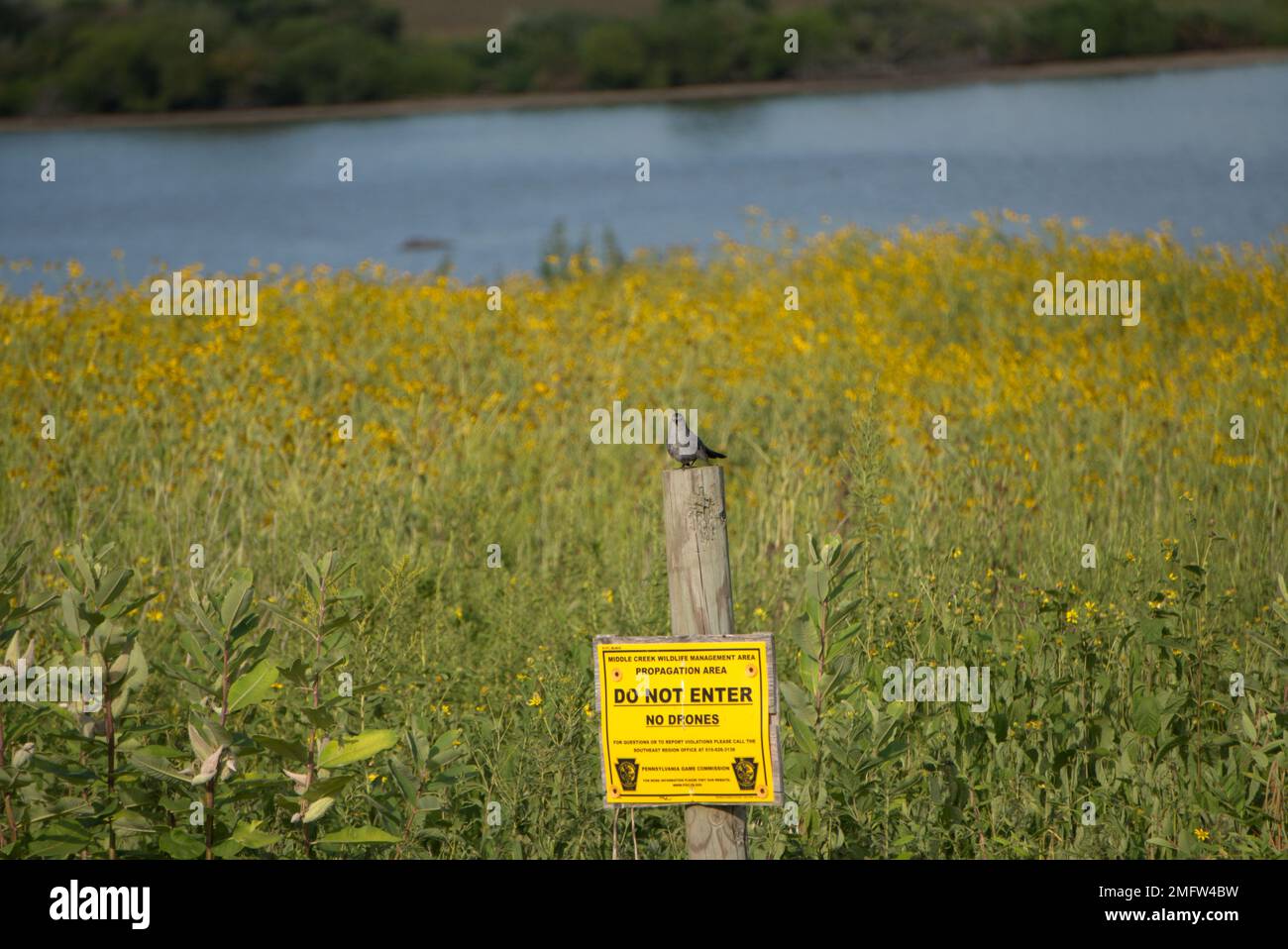 Wma hi-res stock photography and images - Alamy