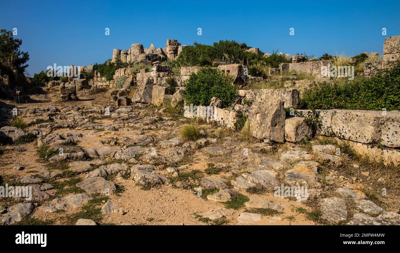 Acropolis Main Street, Ancient Greek Settlement Selinunte, Sicily ...