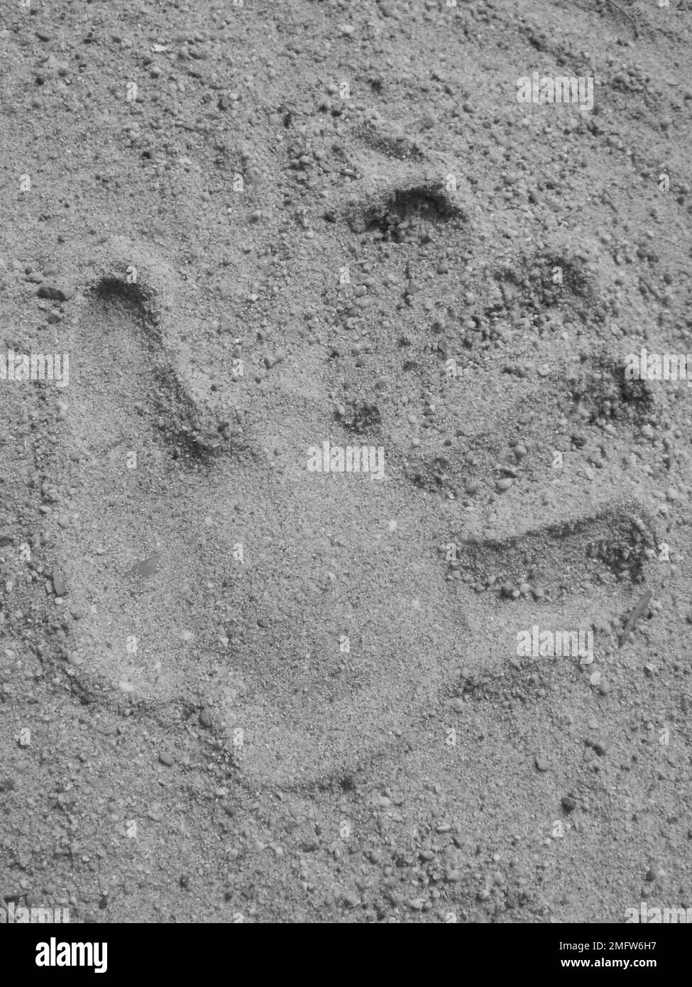 Handprint in the sand Stock Photo - Alamy