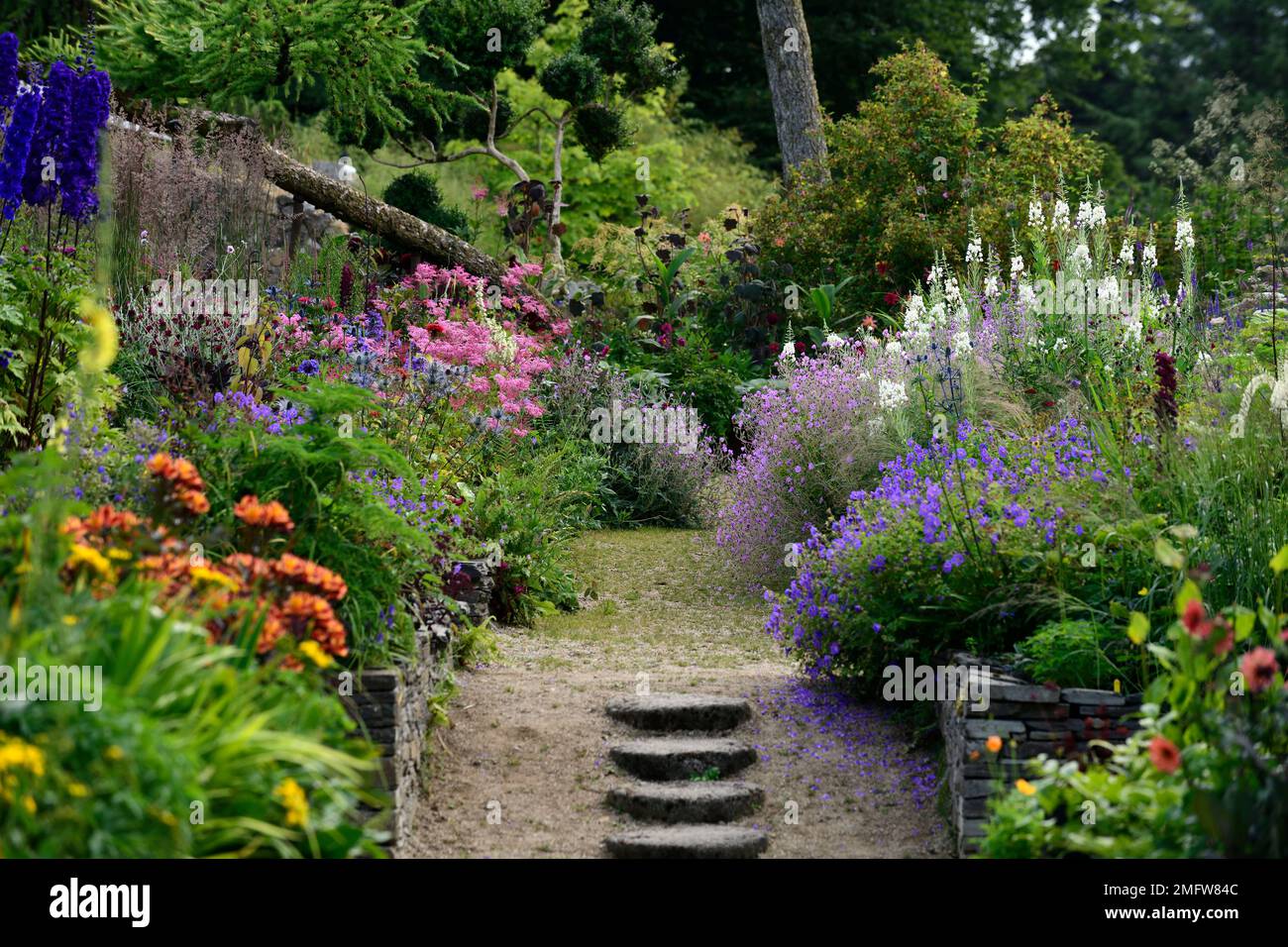 Chamaenerion angustifolium album,white fireweed,white-flowered rosebay ...