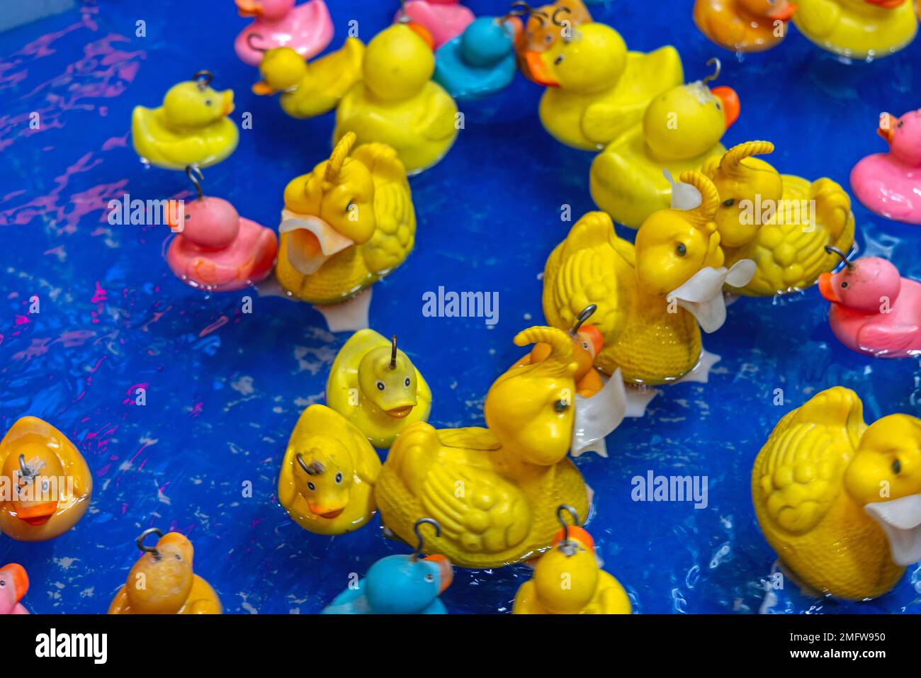 Fishing Rubber Ducks in Pool Amusement Park Fun Game Stock Photo - Alamy