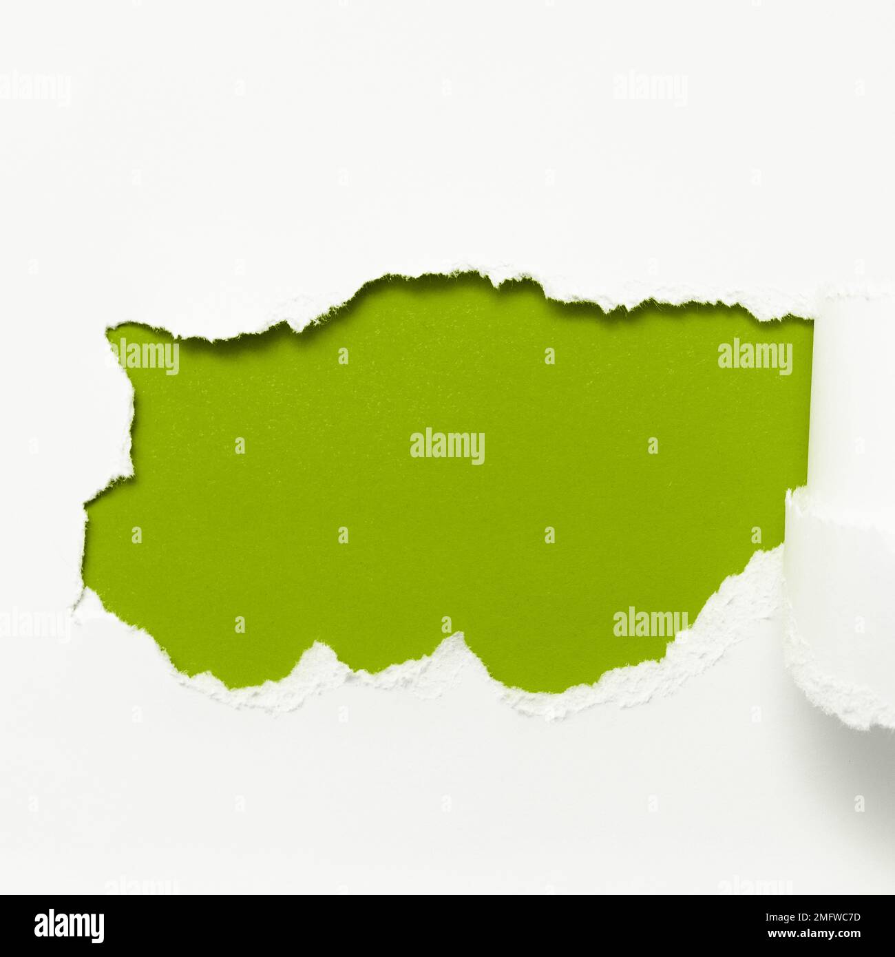 Important Information Written Under Ripped Piece Of Paper. Crutial ...