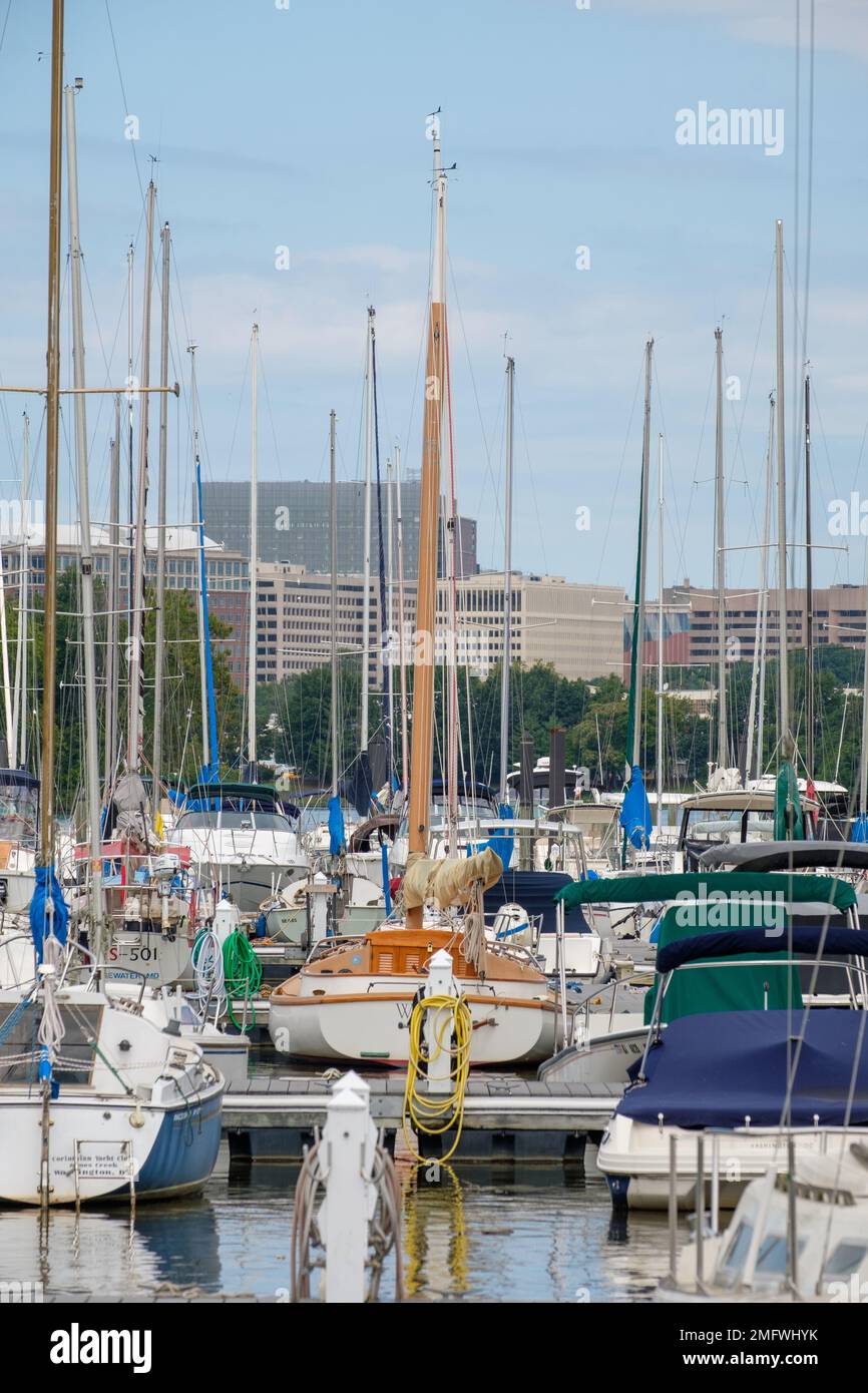 Boats at Washington Sailing Marina Stock Photo - Alamy