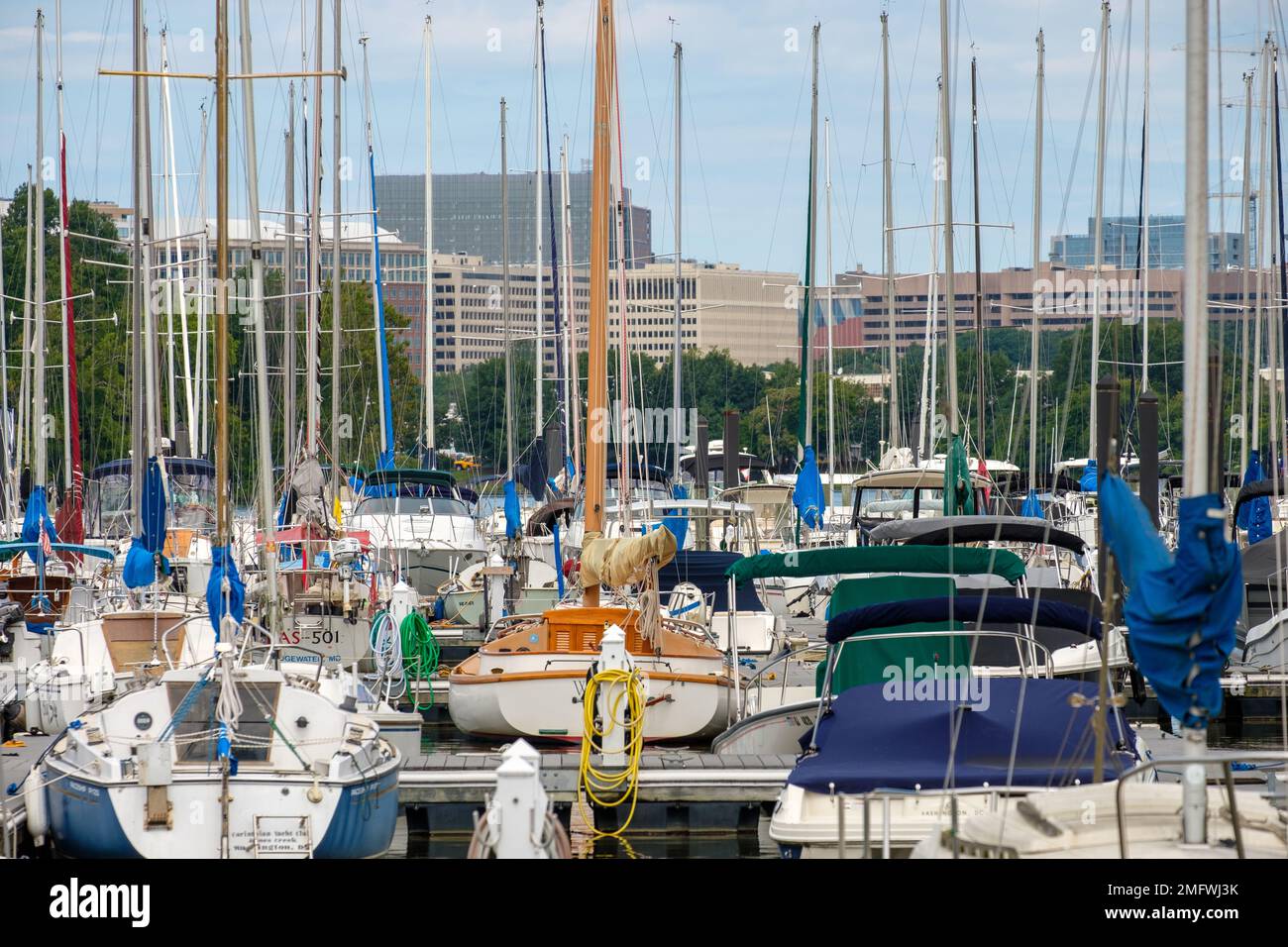 Boats at Washington Sailing Marina Stock Photo - Alamy