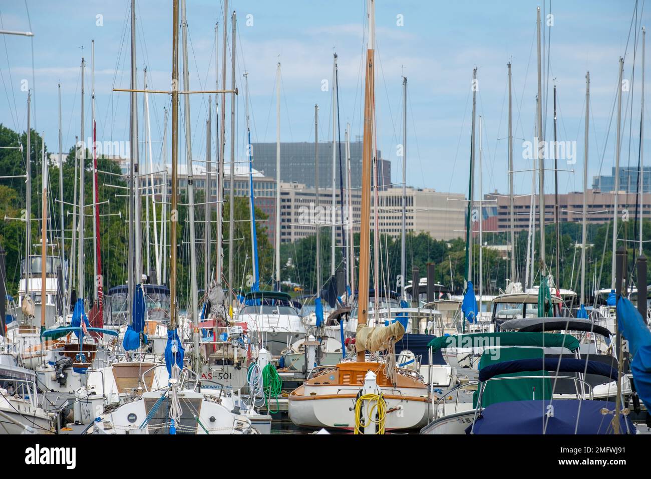 Boats at Washington Sailing Marina Stock Photo - Alamy