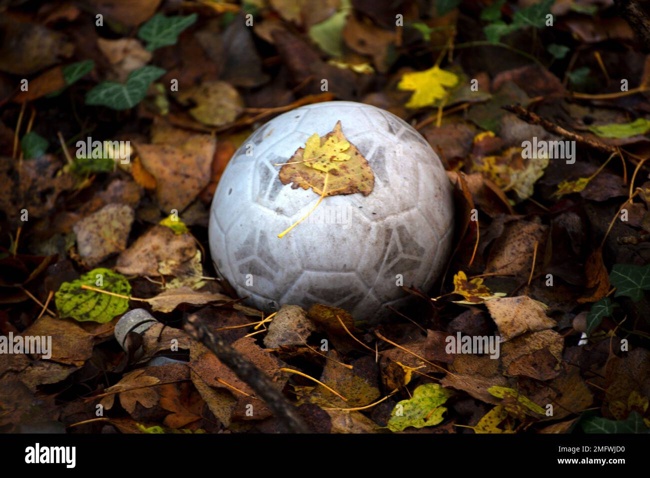 Abandoned trash in the woods, old soccer ball Stock Photo - Alamy