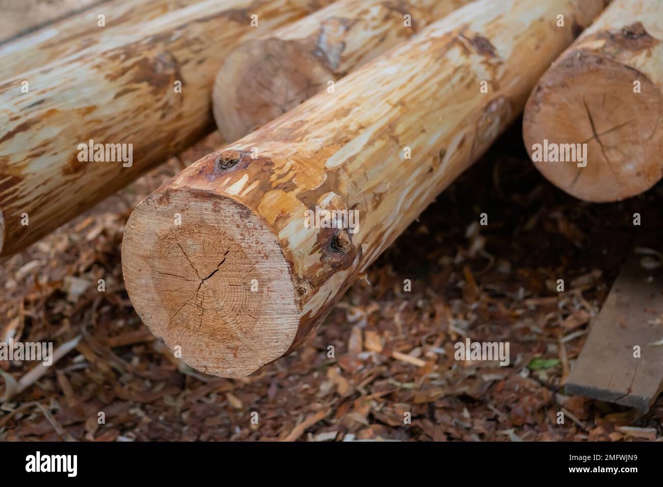 Wooden sawn logs on ground Stock Photo - Alamy