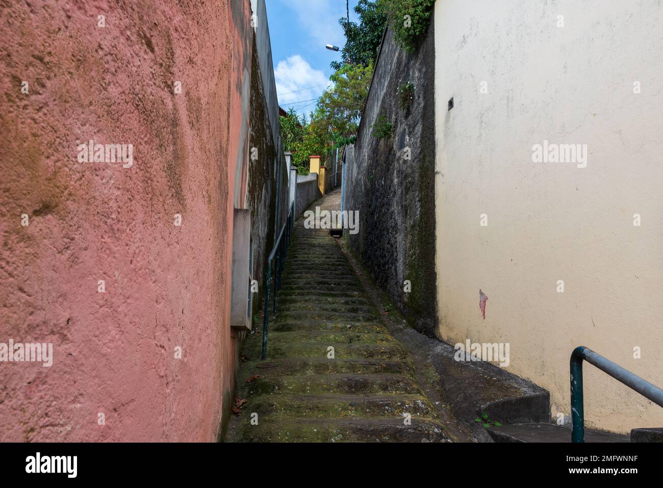 Levada on madeira tourist path hi-res stock photography and images - Alamy