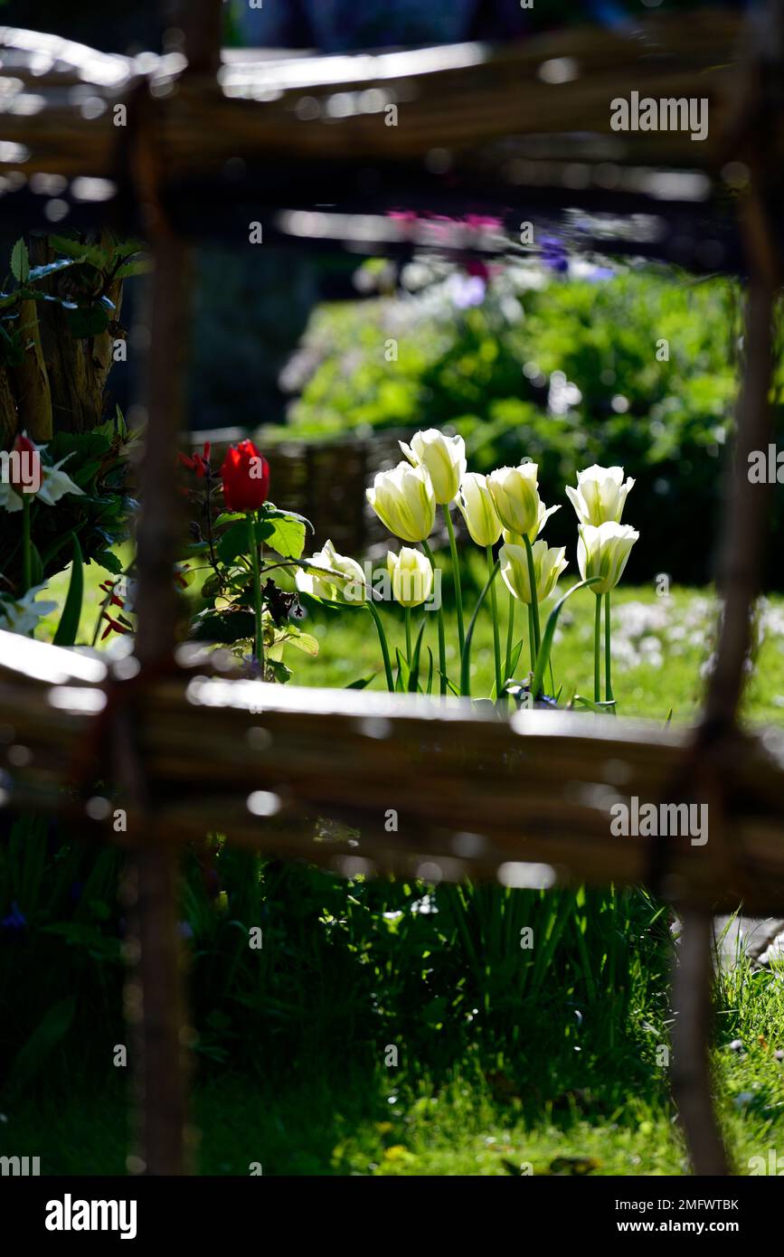 Green planting scheme hi-res stock photography and images - Alamy