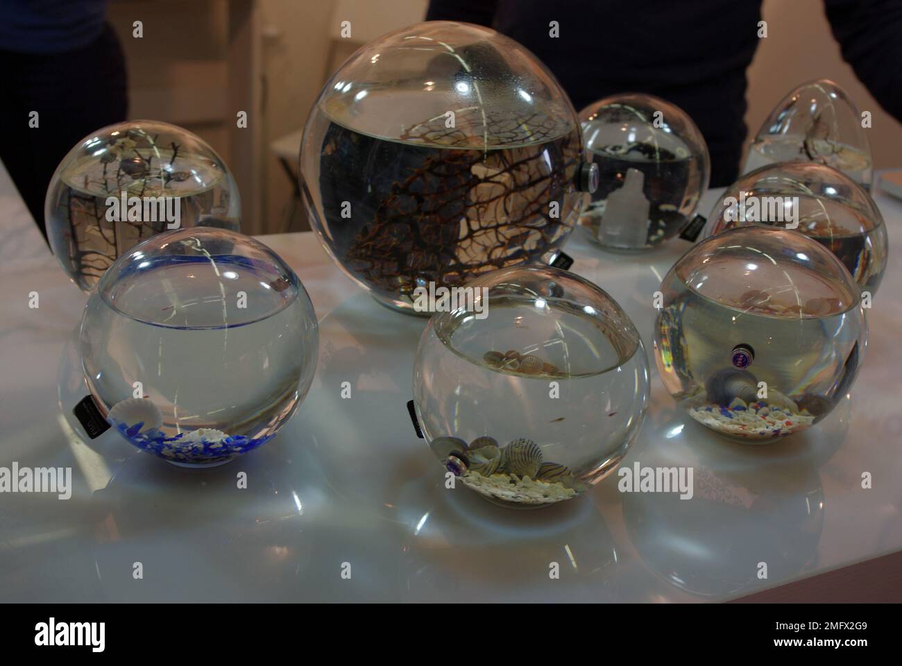 Ecosphere (aquarium) hi-res stock photography and images - Alamy