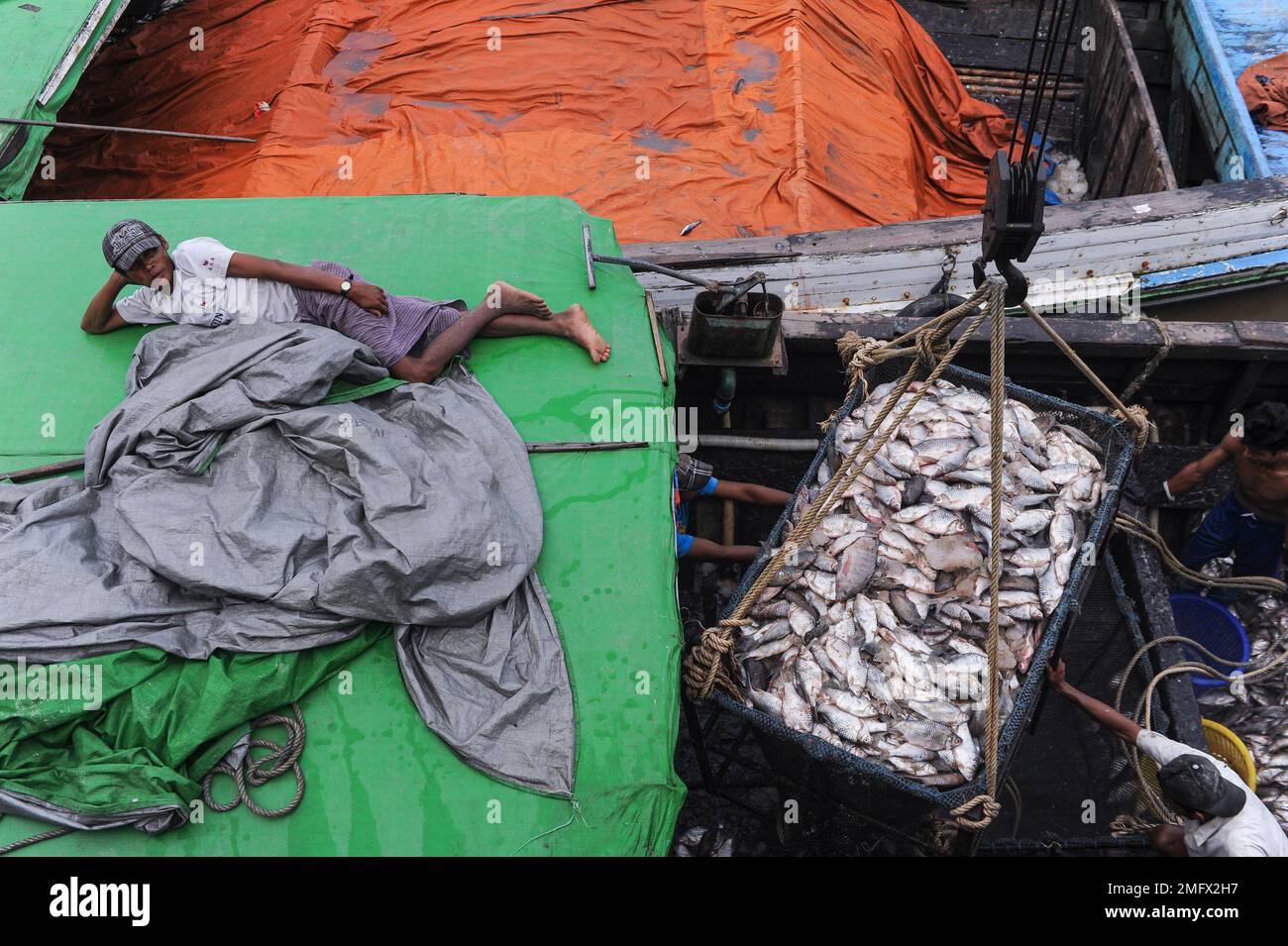 28.06.2014, Yangon, Myanmar, Asia - Workers unload fresh caught fish ...