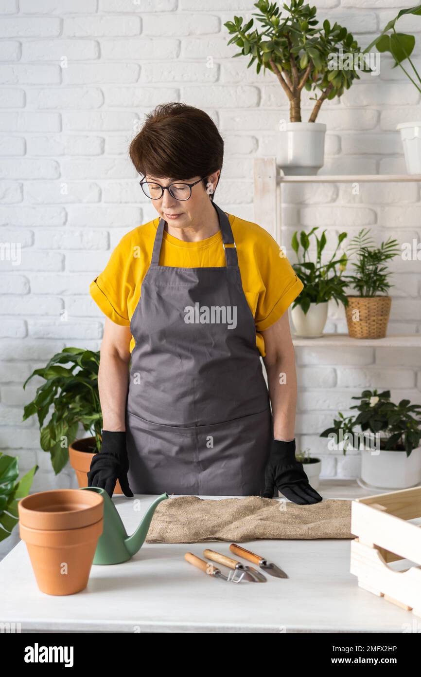 Spring houseplant care, repotting houseplants. Waking up indoor plants ...