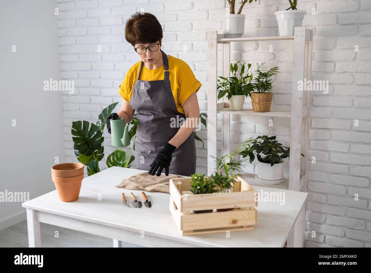 Spring houseplant care, repotting houseplants. Waking up indoor plants ...