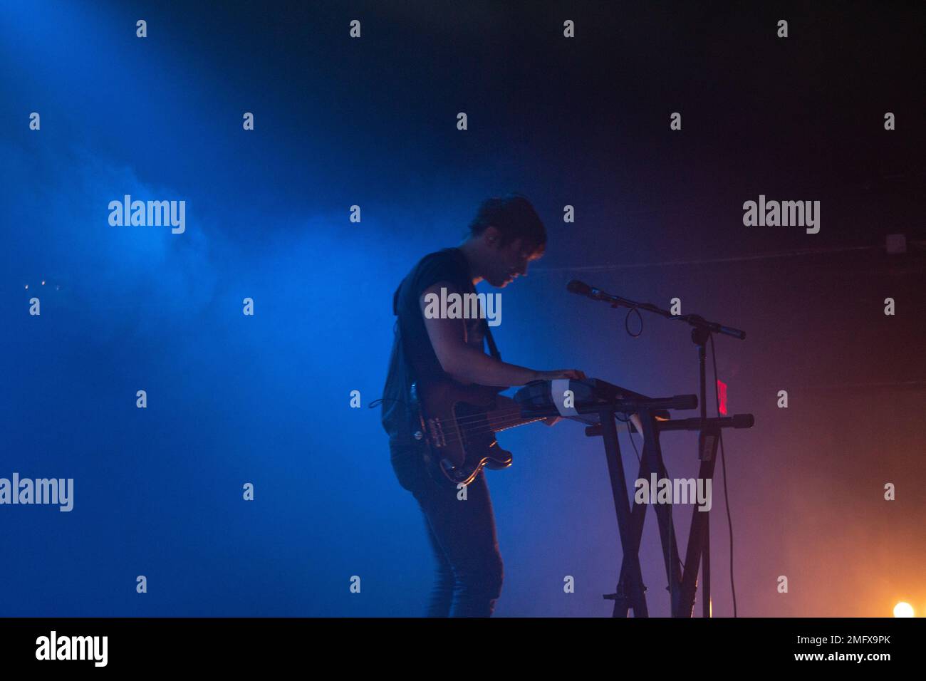 Wombats in concert from Terminal 5 in New York Stock Photo - Alamy