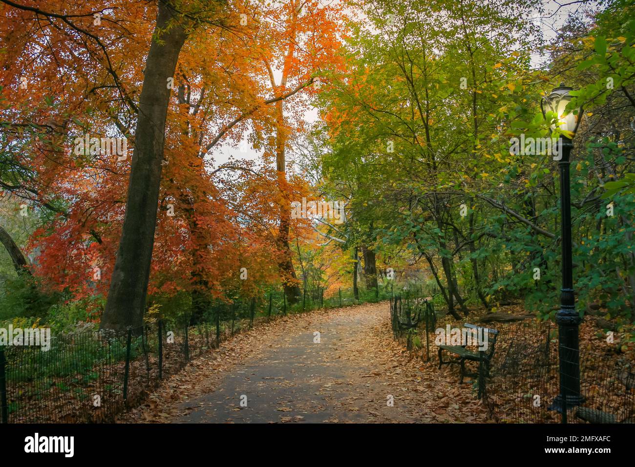 Central park in New York City Manhattan at golden autumn , United ...