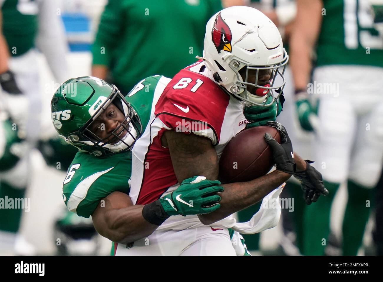 Arizona Cardinals tight end Darrell Daniels (81) runs the ball against ...