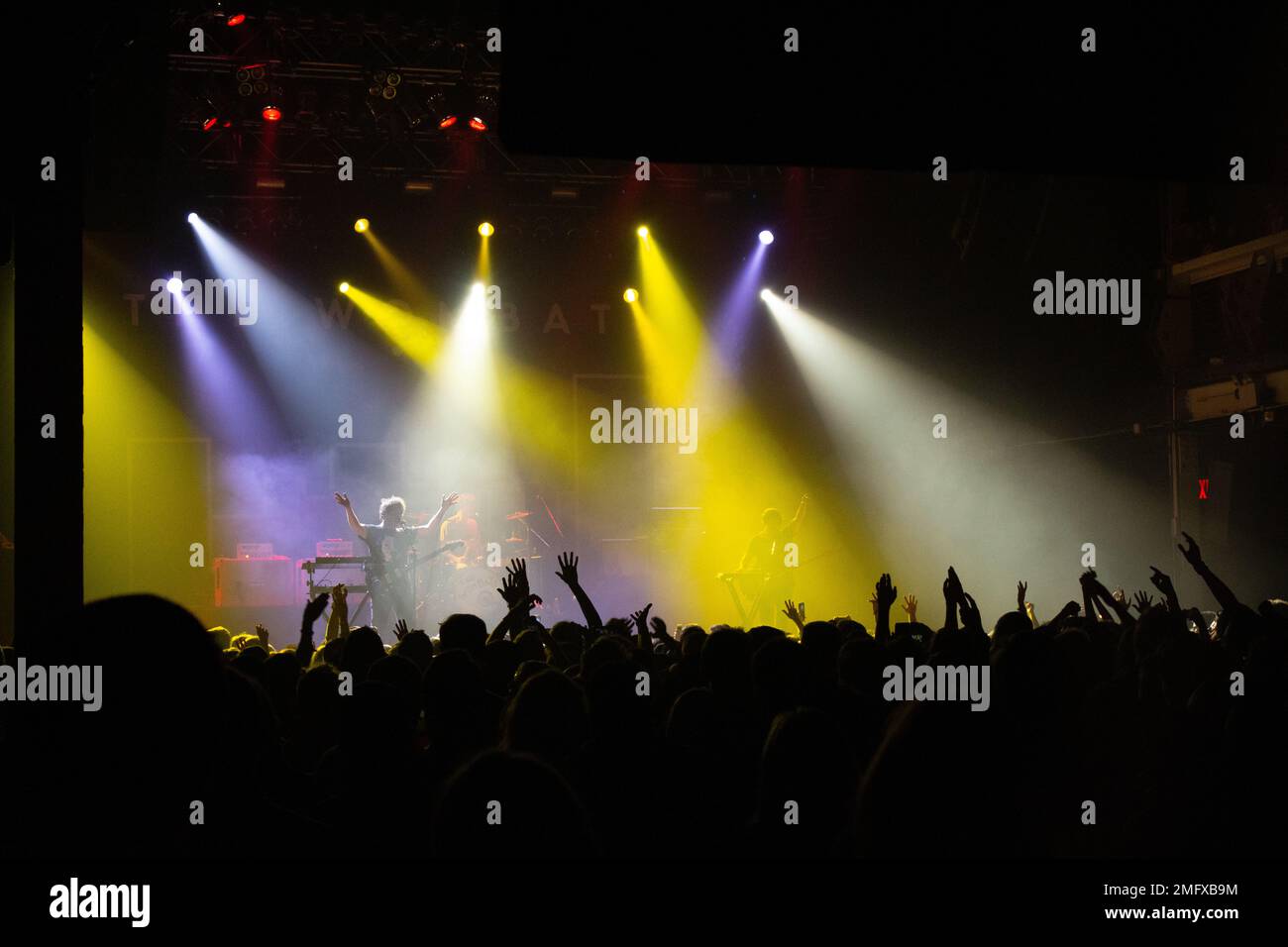 Wombats in concert from Terminal 5 in New York Stock Photo - Alamy
