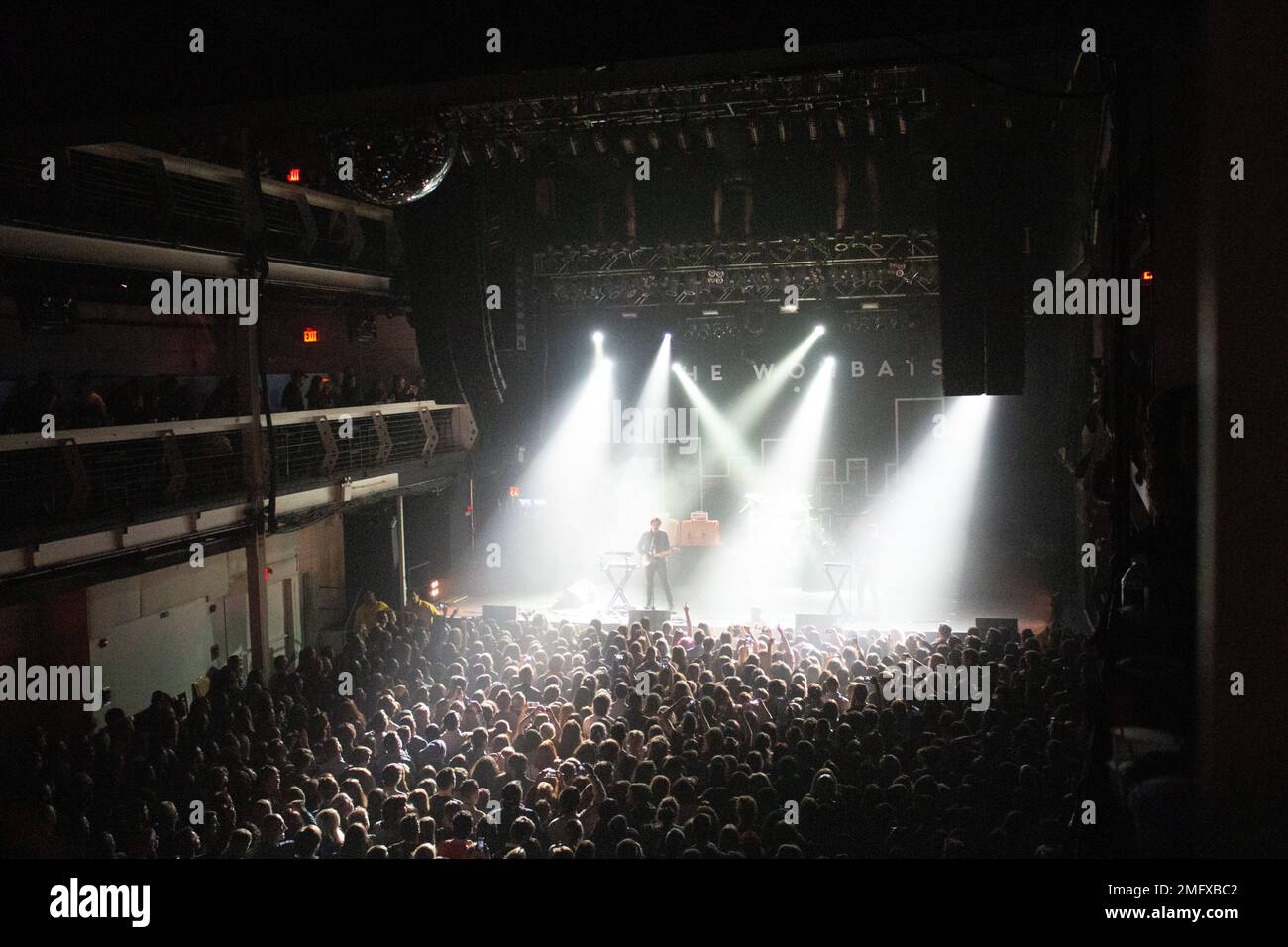 Wombats in concert from Terminal 5 in New York Stock Photo - Alamy
