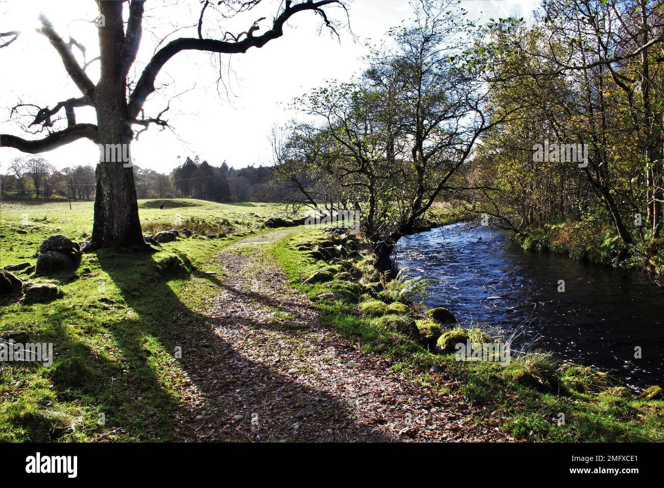 Craigengillan - Scotland Stock Photo - Alamy