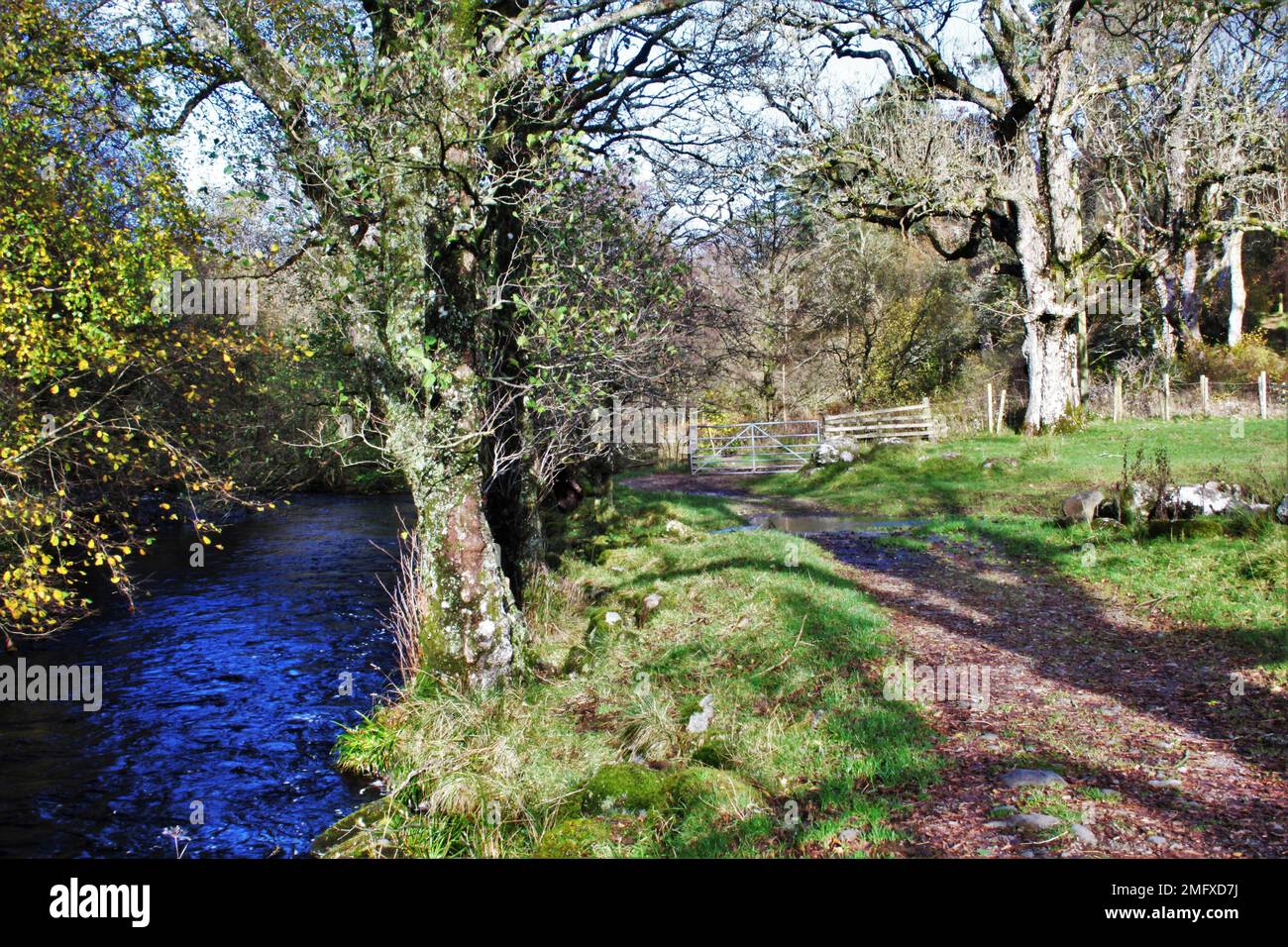 Craigengillan scotland hi-res stock photography and images - Alamy