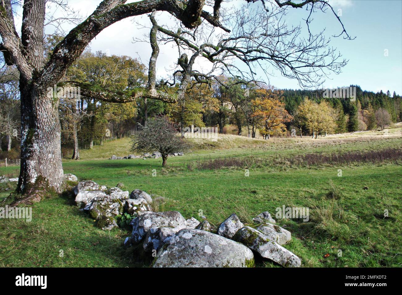 Craigengillan - Scotland Stock Photo - Alamy