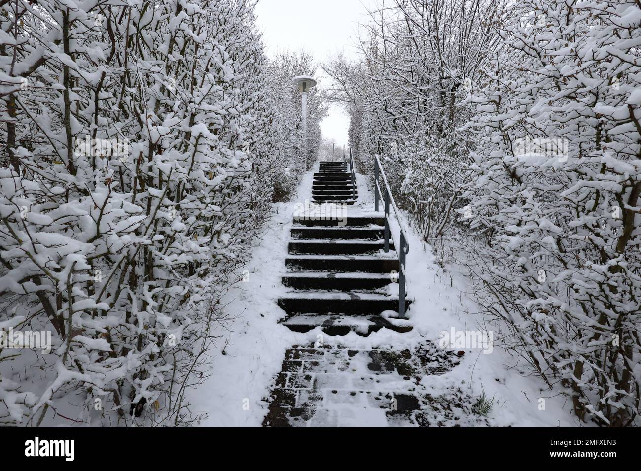 Cold windy ground mist background hi-res stock photography and images ...